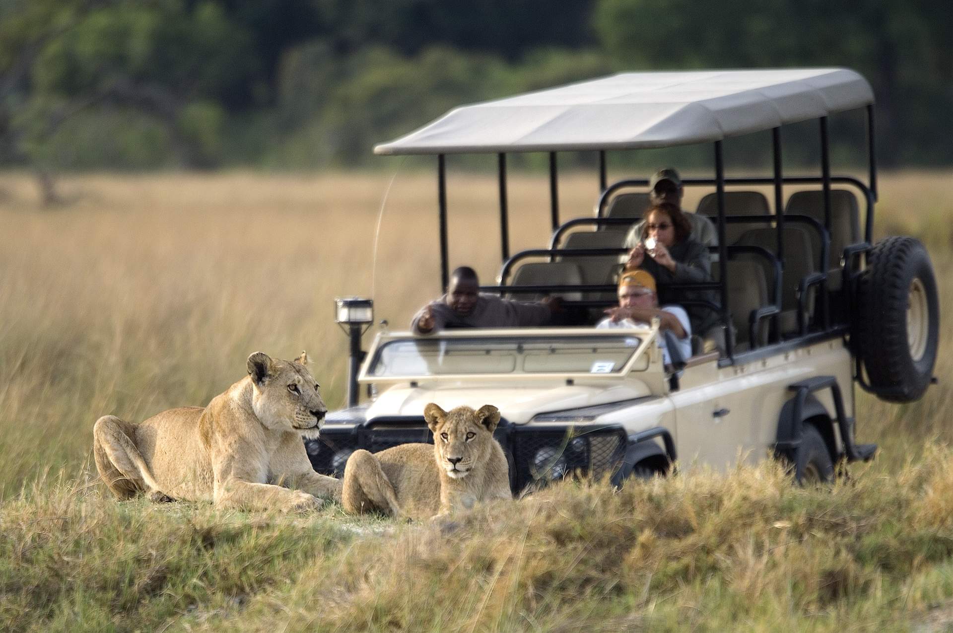 Big Five Safari